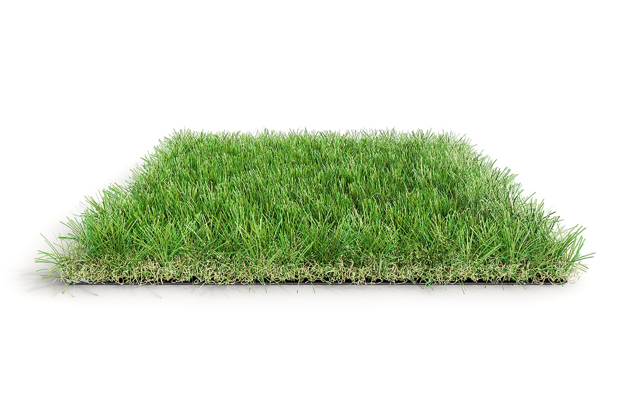 Gazon synthétique Millenium 50 | Jardins - Espaces paysagers